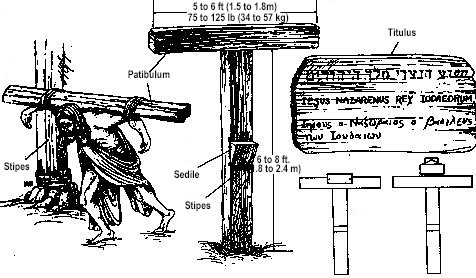 Krst u religiji? | 2. strana | Forum Krstarice