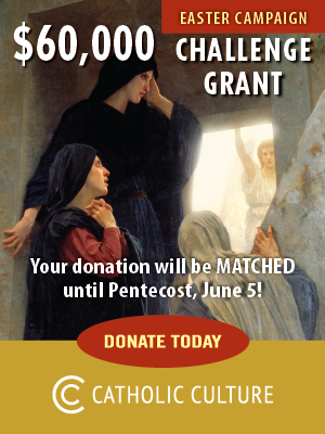 Liturgical Year : Activities : Preparing the Manger | Catholic Culture